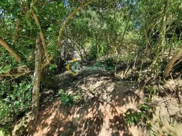 Terreno / Lote para Venda em Mogi das Cruzes/SP Vila Mathias