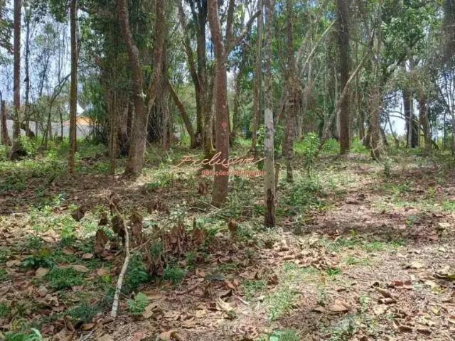 Terreno / Lote para Venda em Mogi das Cruzes/SP Vila Moraes