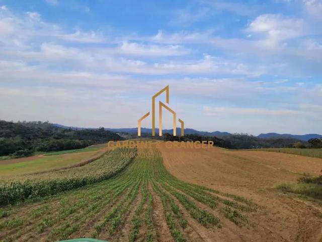 Terreno / Lote para Venda em Mogi das Cruzes/SP Vila Moraes
