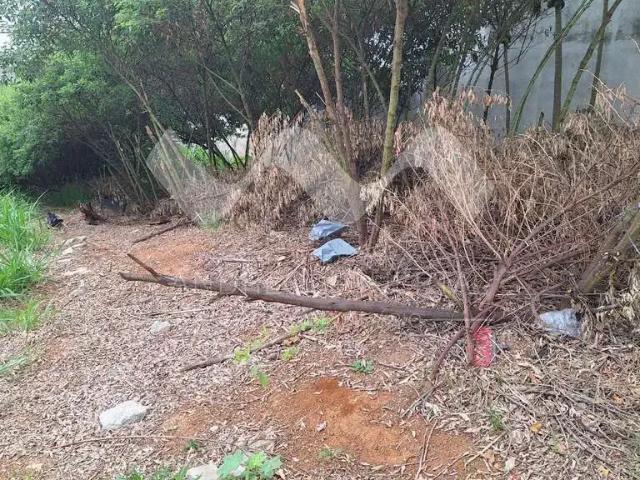 Terreno / Lote para Venda em Mogi das Cruzes/SP Vila Nova Aparecida