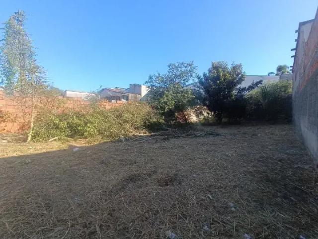 Terreno / Lote para Venda em Mogi das Cruzes/SP Vila São Francisco