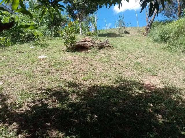 Terreno / Lote para Venda em Mogi das Cruzes/SP Vila São Paulo