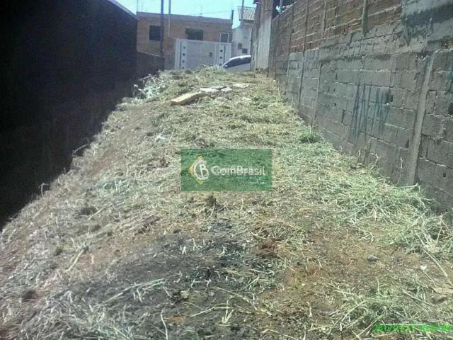 Terreno / Lote para Venda em Mogi das Cruzes/SP Vila São Paulo