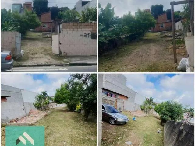 Terreno / Lote para Venda em Mogi das Cruzes/SP Vila São Sebastião
