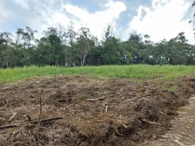 Terreno / Lote para Venda em Mogi das Cruzes/SP Biritiba Ussu