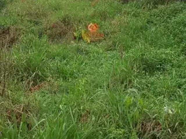 Terreno / Lote para Venda em Mogi das Cruzes/SP Botujuru