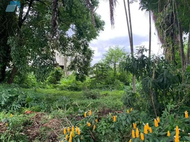 Terreno / Lote para Venda em Mogi das Cruzes/SP Centro