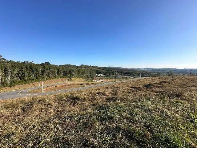 Terreno / Lote para Venda em Mogi das Cruzes/SP Cézar de Souza