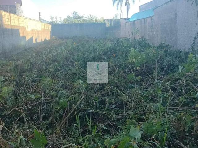 Terreno / Lote para Venda em Mogi das Cruzes/SP Conjunto Habitacional Brás Cubas