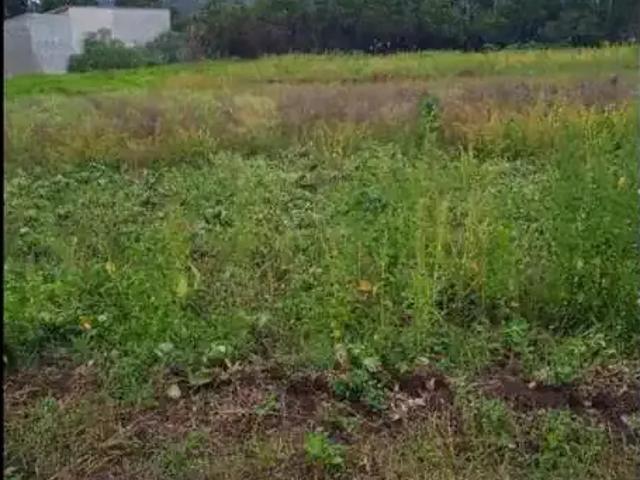 Terreno / Lote para Venda em Mogi das Cruzes/SP Conjunto Residencial Santo Ângelo