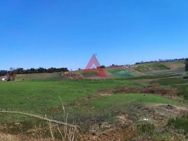 Terreno / Lote para Venda em Mogi das Cruzes/SP Do Taboão