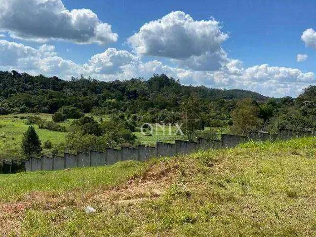 Terreno / Lote para Venda em Mogi das Cruzes/SP Jardim São Pedro