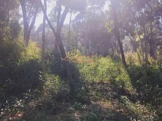 Terreno / Lote para Venda em Mogi das Cruzes/SP Loteamento Rio Acima