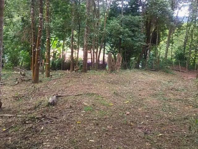 Terreno / Lote para Venda em Mogi das Cruzes/SP Parque Residencial Itapeti