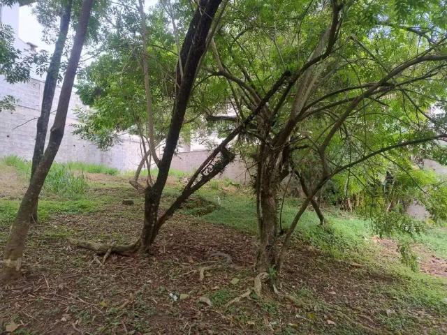 Terreno / Lote para Venda em Mogi das Cruzes/SP Parque Residencial Itapeti