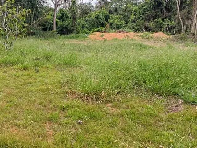 Terreno / Lote para Venda em Mogi das Cruzes/SP Sabaúna
