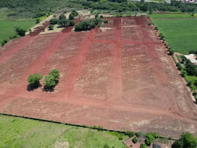 Terreno / Lote para Venda em Mogi Guaçu/SP Areião