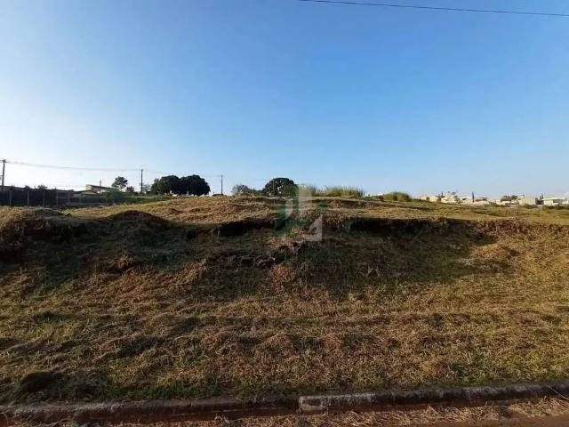 Terreno / Lote para Venda em Mogi Guaçu/SP Jardim Nossa Senhora das Graças