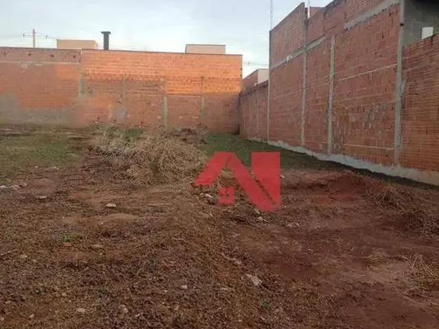 Terreno / Lote para Venda em Mogi Guaçu/SP Jardim Araucária