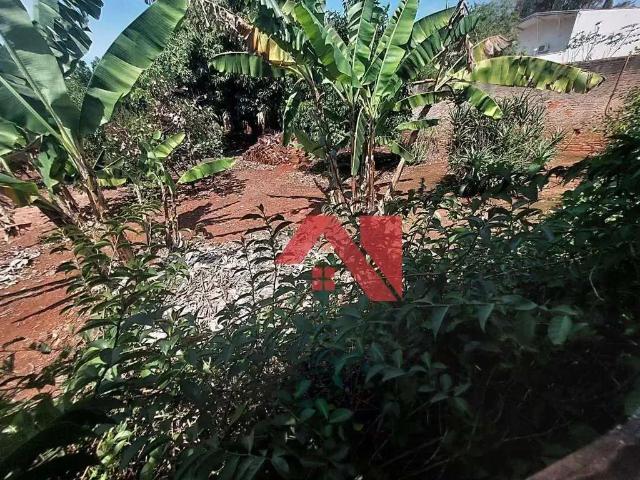 Terreno / Lote para Venda em Mogi Guaçu/SP Jardim Camargo