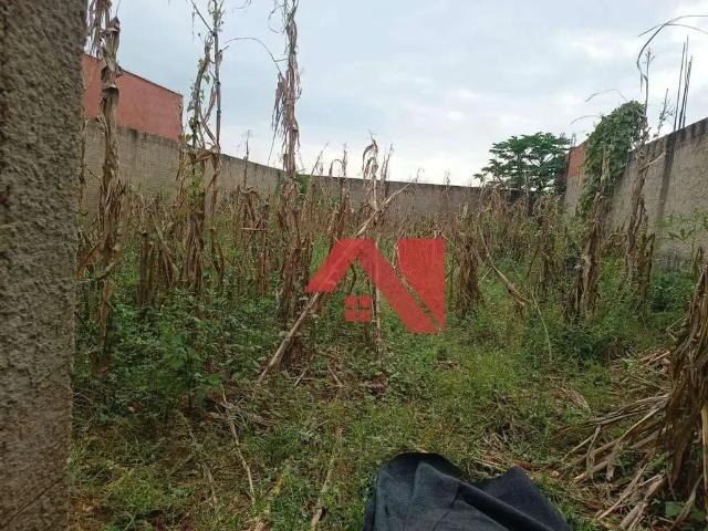 Terreno / Lote para Venda em Mogi Guaçu/SP Jardim Eldorado