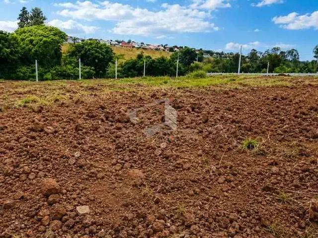 Terreno / Lote para Venda em Mogi Guaçu/SP Jardim Santa Madalena