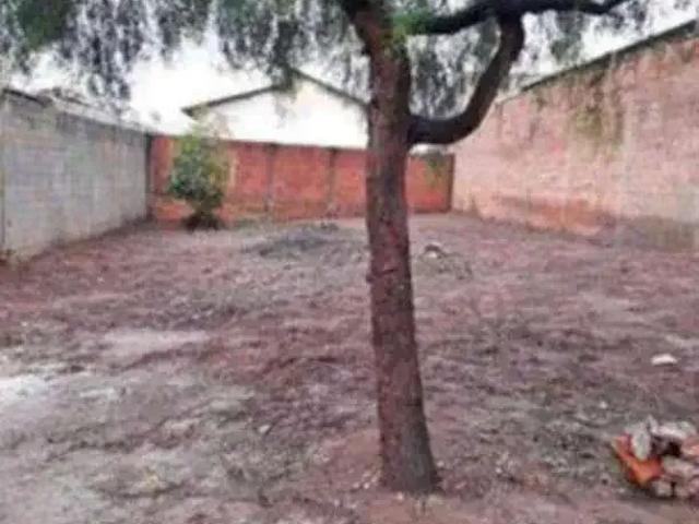 Terreno / Lote para Venda em Mogi Guaçu/SP Jardim Santa Cruz