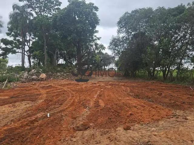 Terreno / Lote para Venda em Mogi Guaçu/SP Jardim Santo Antônio