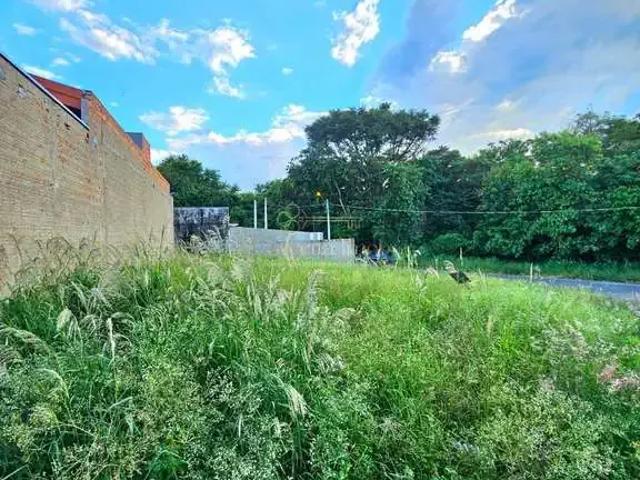 Terreno / Lote para Venda em Mogi Guaçu/SP Parque São Luiz