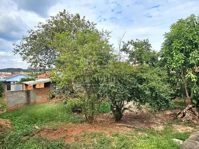 Terreno / Lote para Venda em Mogi Guaçu/SP Vila Paraíso