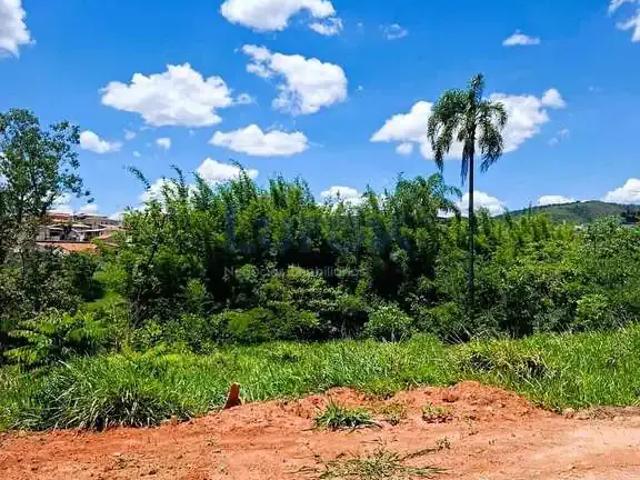 Terreno / Lote para Venda em Morungaba/SP Núcleo Habitacional Brumado