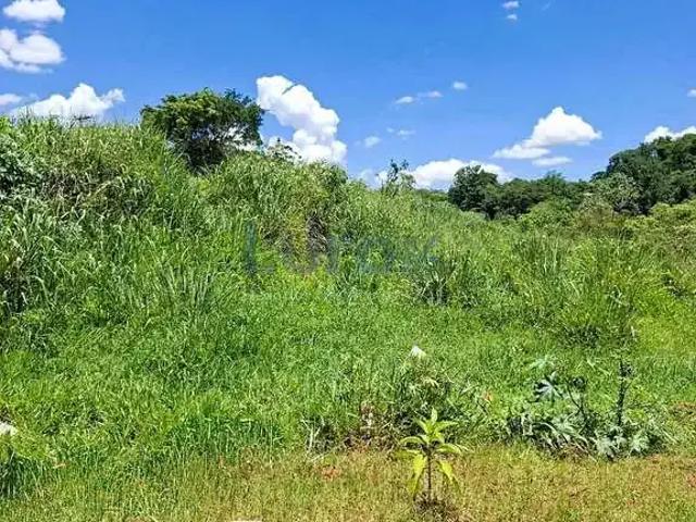 Terreno / Lote para Venda em Morungaba/SP Núcleo Habitacional Brumado