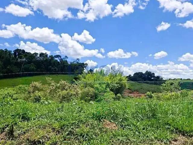 Terreno / Lote para Venda em Morungaba/SP Núcleo Habitacional Brumado