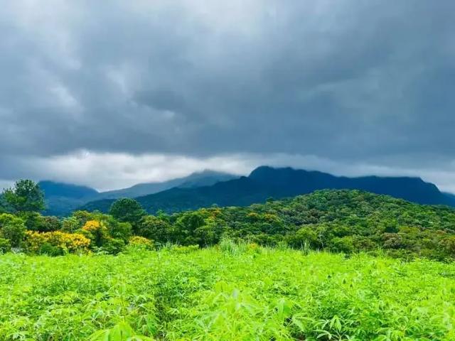 Terreno / Lote para Venda em Morretes/PR América de Cima