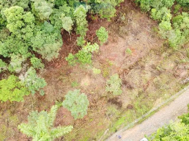 Terreno / Lote para Venda em Morretes/PR América de Cima