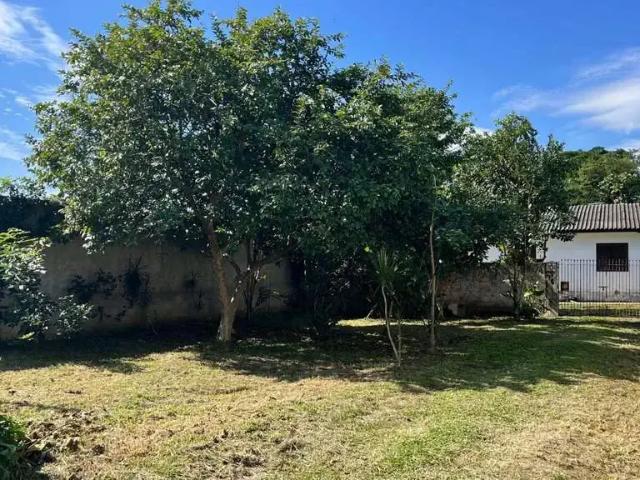 Terreno / Lote para Venda em Morretes/PR América de Baixo