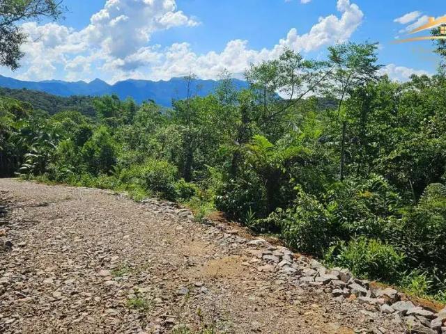 Terreno / Lote para Venda em Morretes/PR Anhaia