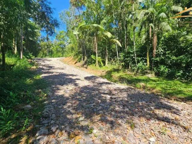 Terreno / Lote para Venda em Morretes/PR Anhaia