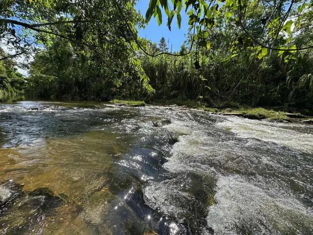Terreno / Lote para Venda em Morretes/PR Anhaia