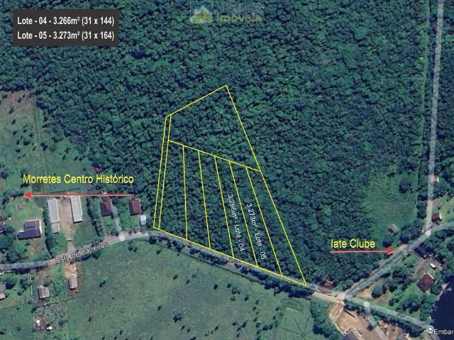 Terreno / Lote para Venda em Morretes/PR Barreiros