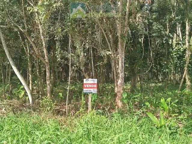 Terreno / Lote para Venda em Morretes/PR Barreiros