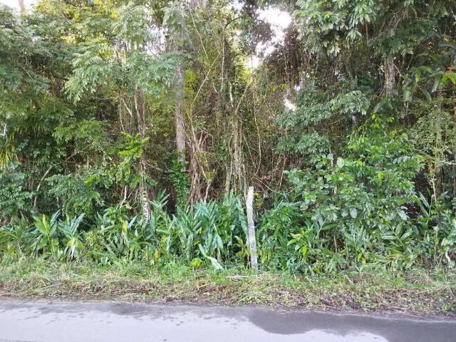 Terreno / Lote para Venda em Morretes/PR Barreiros