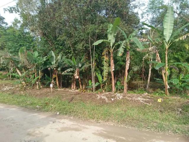 Terreno / Lote para Venda em Morretes/PR Barreiros