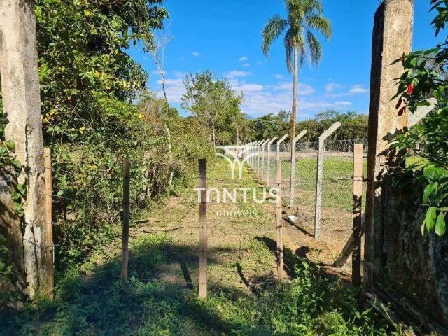 Terreno / Lote para Venda em Morretes/PR Barreiros