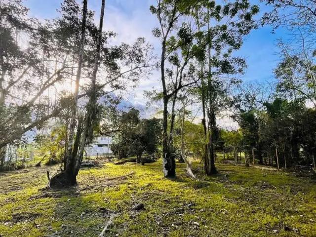 Terreno / Lote para Venda em Morretes/PR Barro Branco