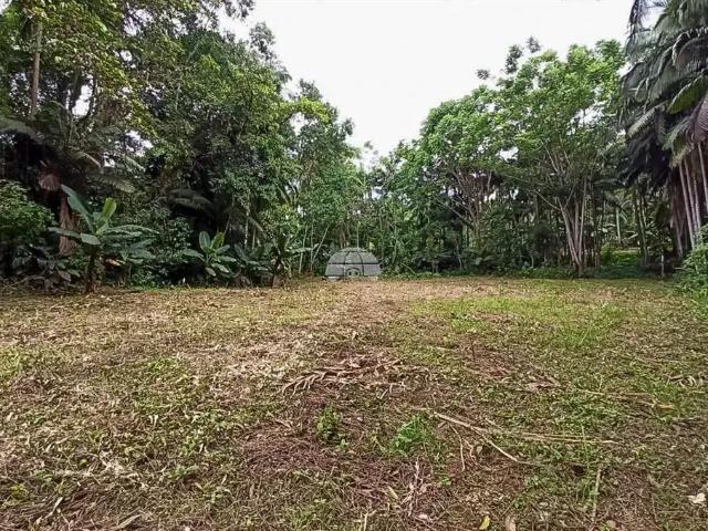 Terreno / Lote para Venda em Morretes/PR Centro
