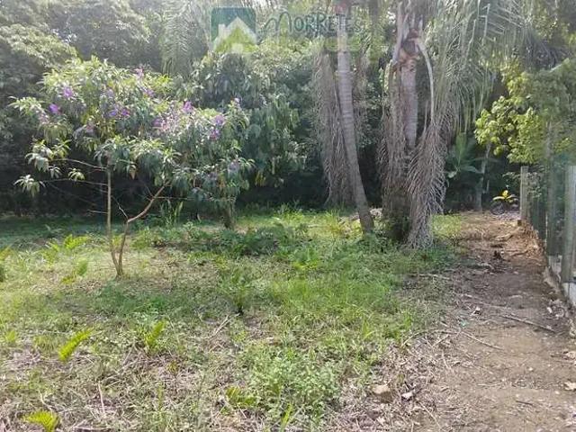 Terreno / Lote para Venda em Morretes/PR Raia Velha