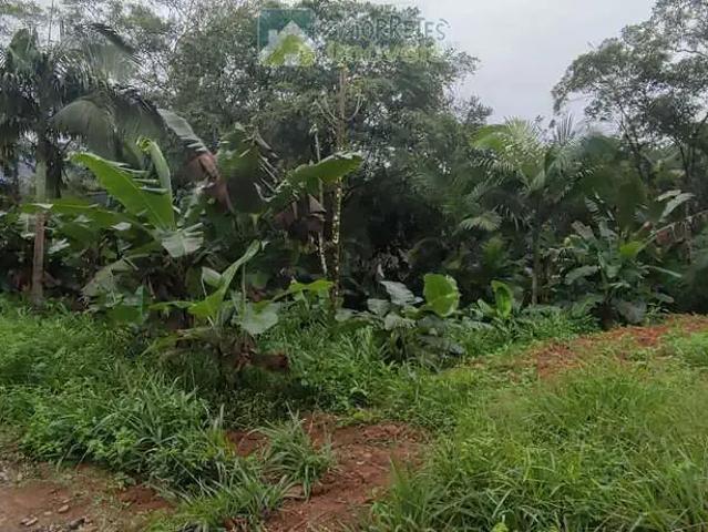 Terreno / Lote para Venda em Morretes/PR São João da Graciosa