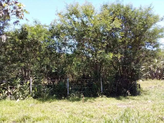 Terreno / Lote para Venda em Morretes/PR Sambaqui