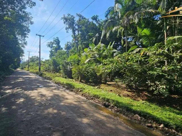 Terreno / Lote para Venda em Morretes/PR Zona Rural